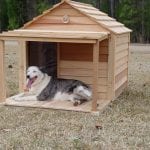 Large Duplex Two Door Dog House - Custom Wooden Dog House